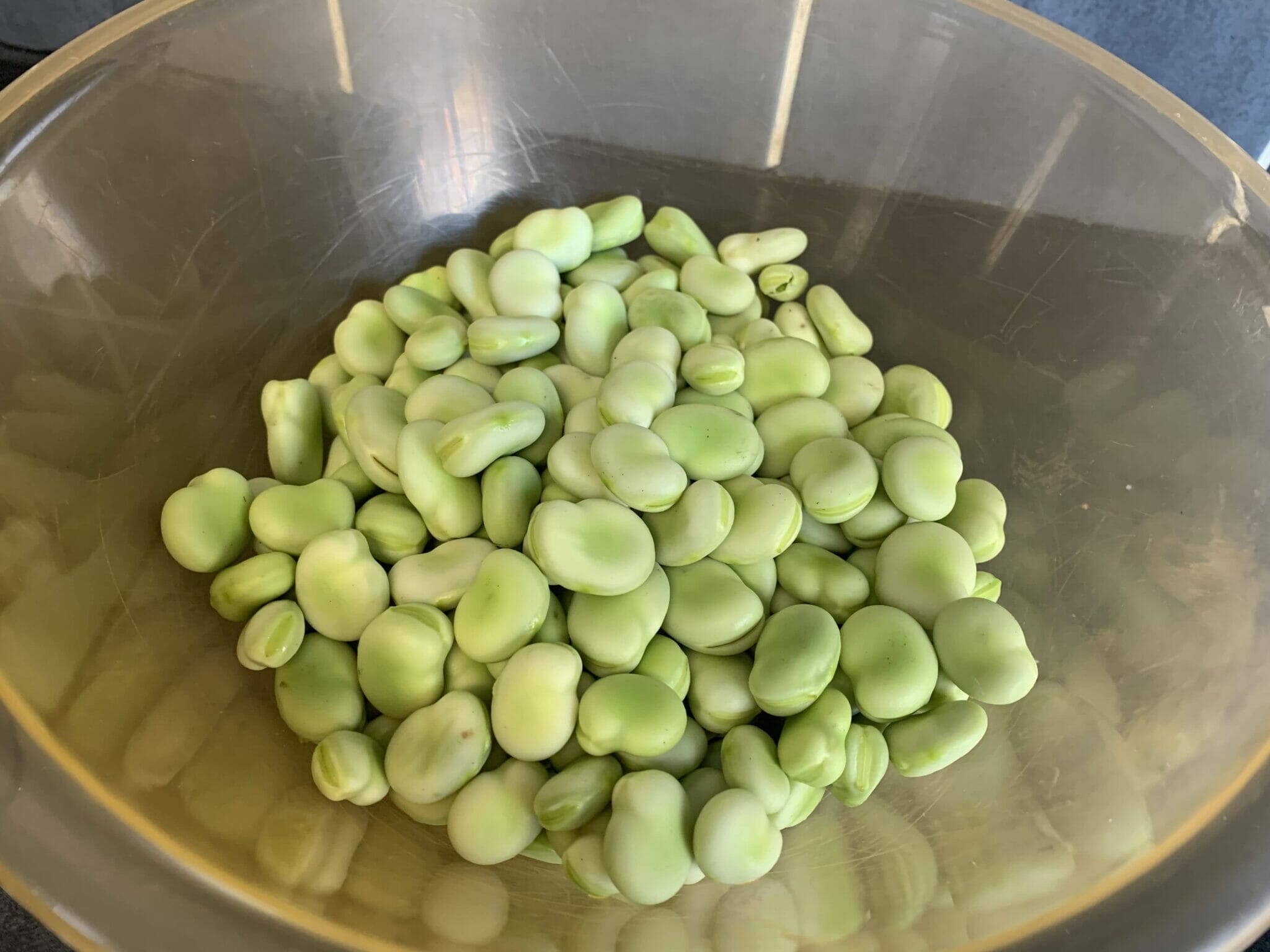 Broad Beans – Surprisingly Healthy Vegetable! - Gardening With Jason
