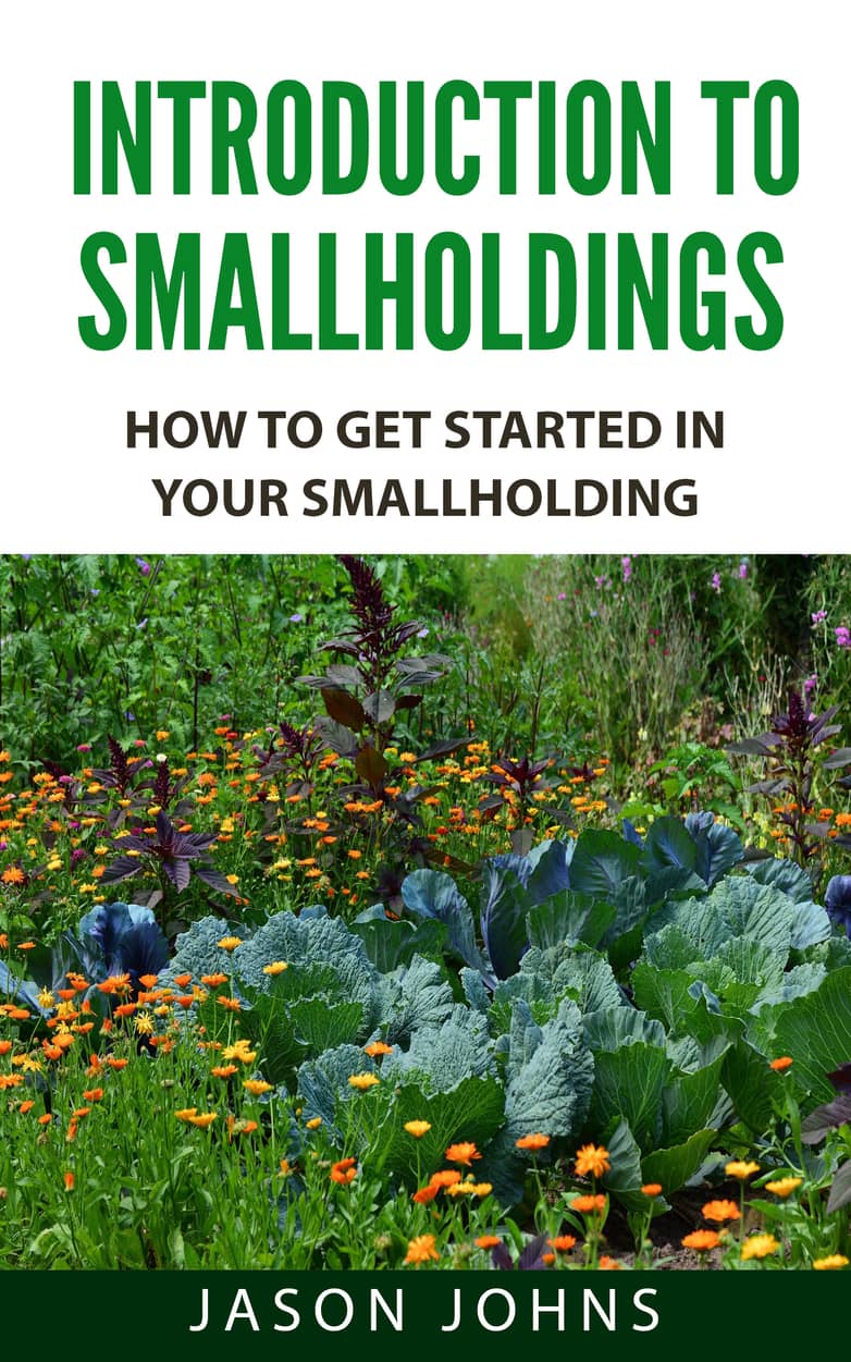 An Introduction to Smallholdings - Gardening With Jason